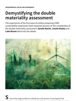Demystifying the double materiality assessment